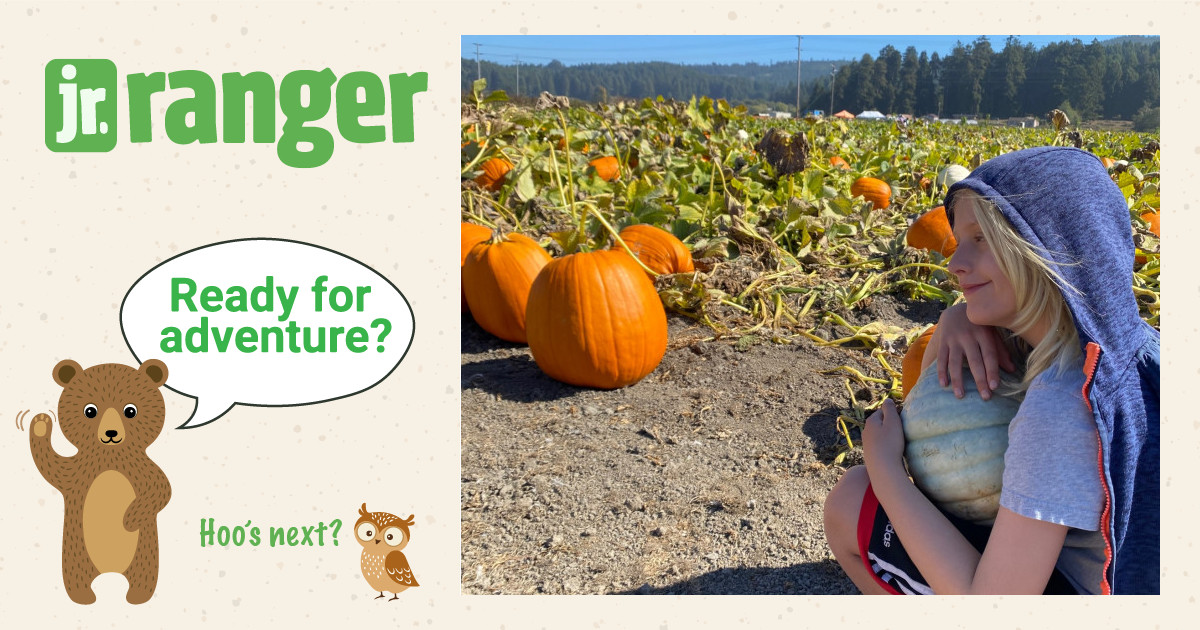 Aris | Junior Ranger