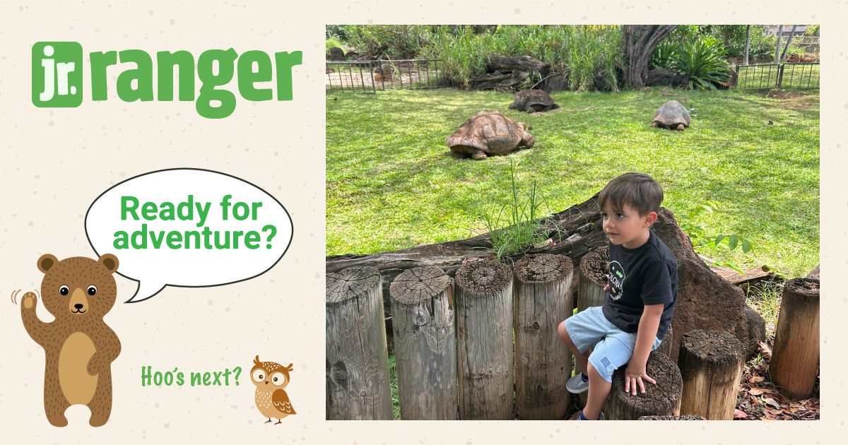 Reef | Junior Ranger