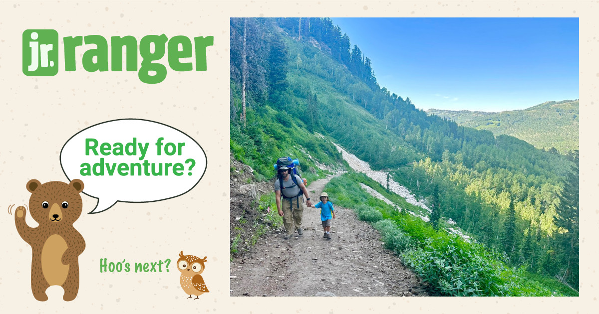 Everett | Junior Ranger