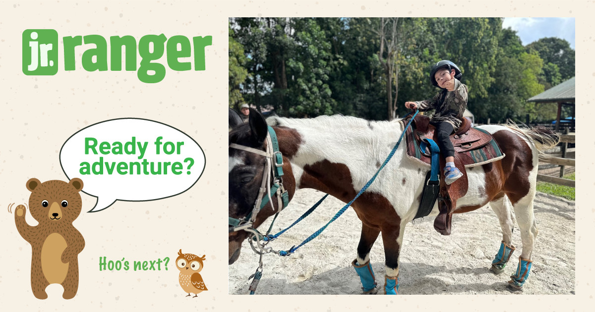 Ahmad | Junior Ranger