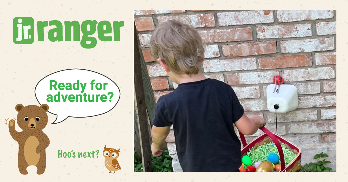 Apollo | Junior Ranger