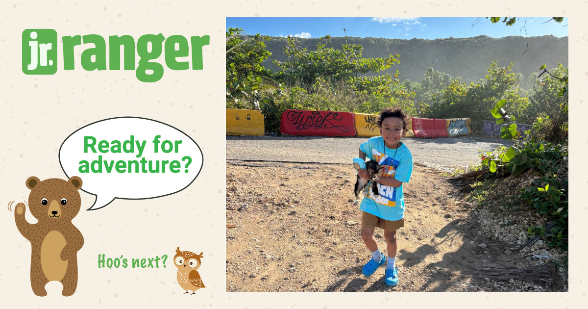 Judge | Junior Ranger