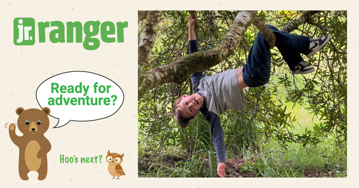 Loki | Junior Ranger