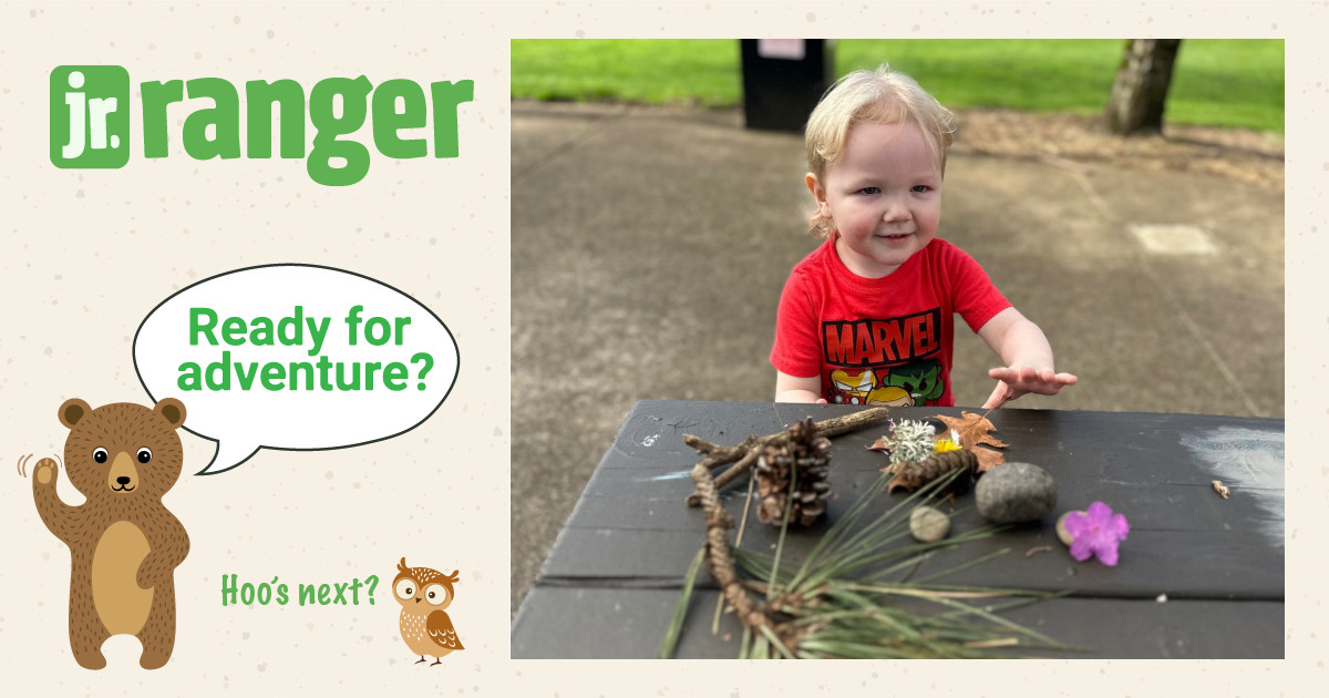Brave | Junior Ranger