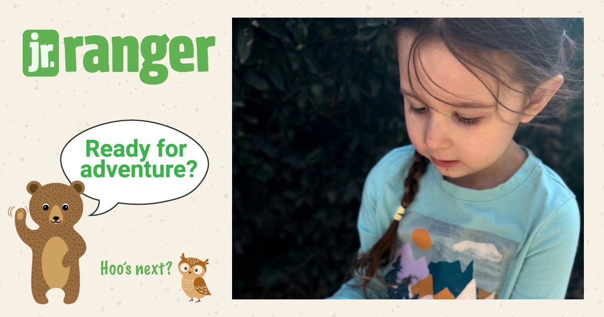 Meadow | Junior Ranger