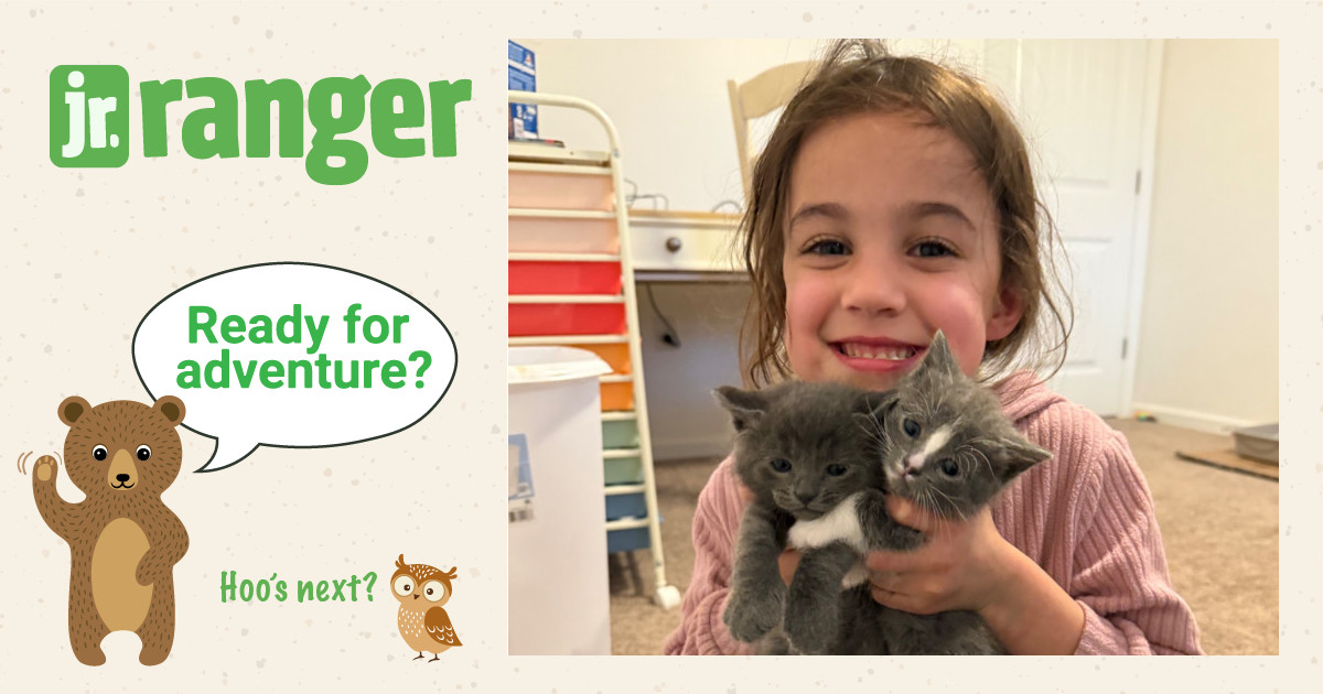 Madison | Junior Ranger