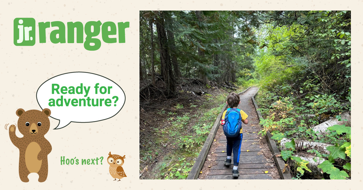 Phillip | Junior Ranger