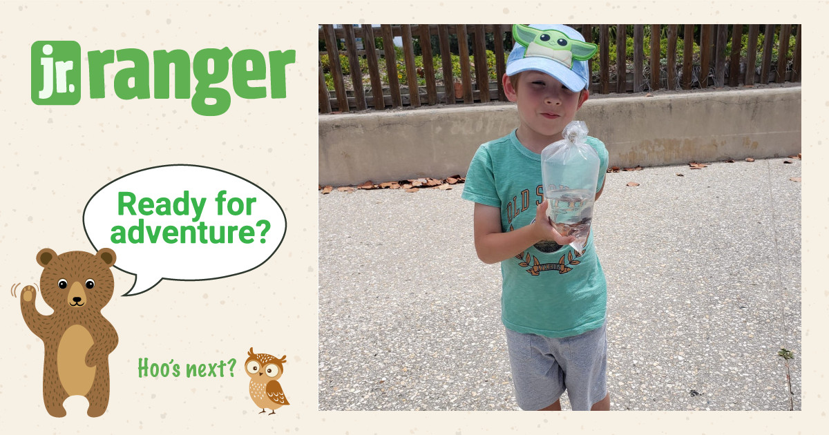 Daniel | Junior Ranger