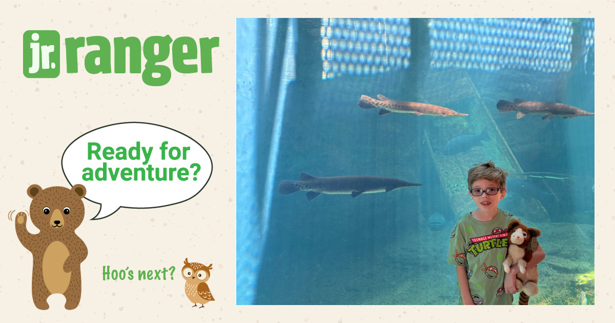 Ely | Junior Ranger