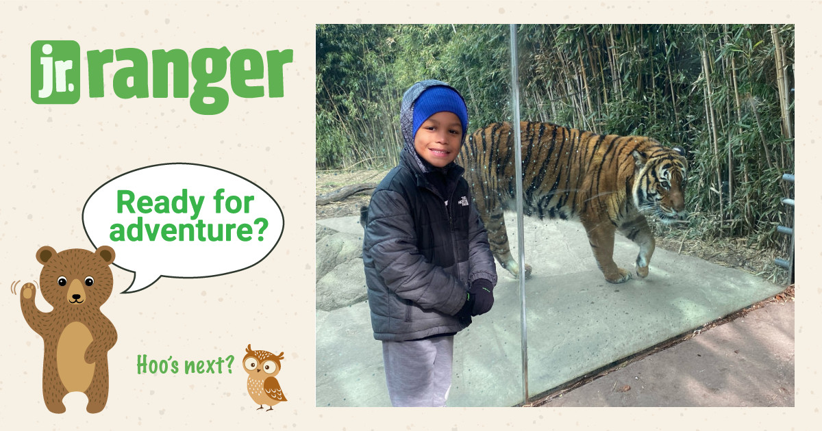 Amari | Junior Ranger