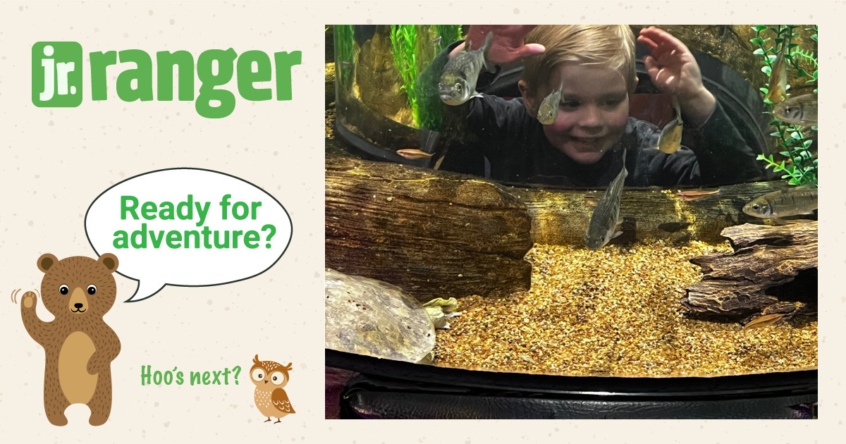 Matty | Junior Ranger