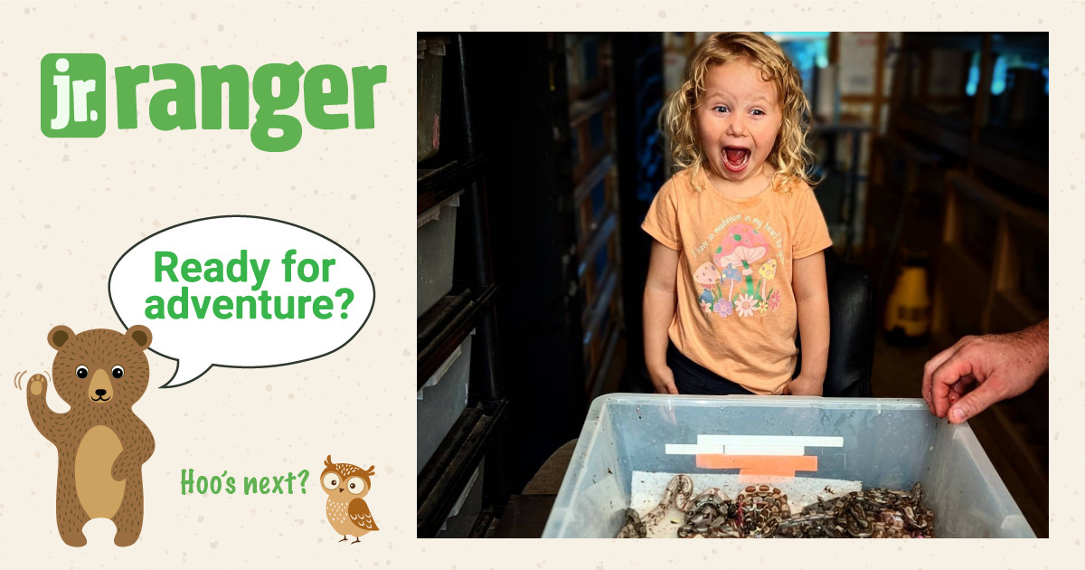Ellie | Junior Ranger