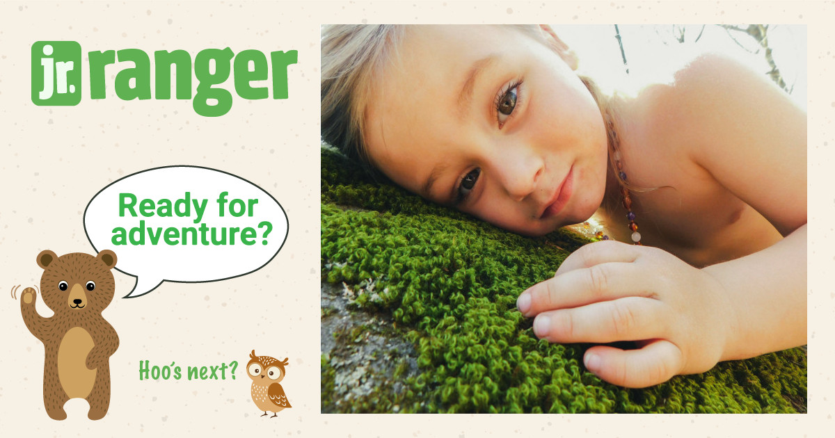 Archer | Junior Ranger