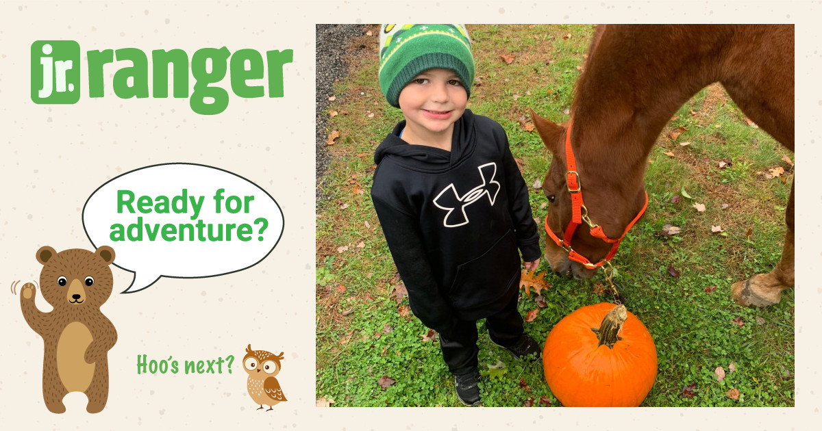 Rocky | Junior Ranger