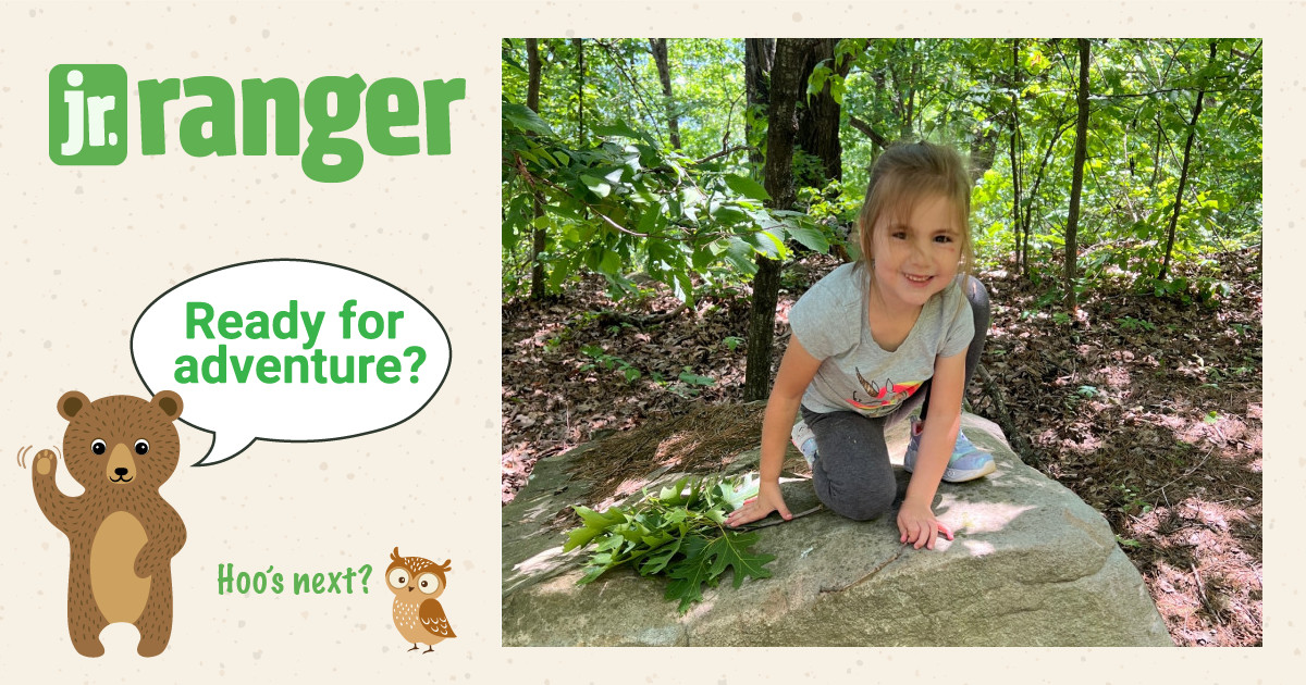 Ellery | Junior Ranger