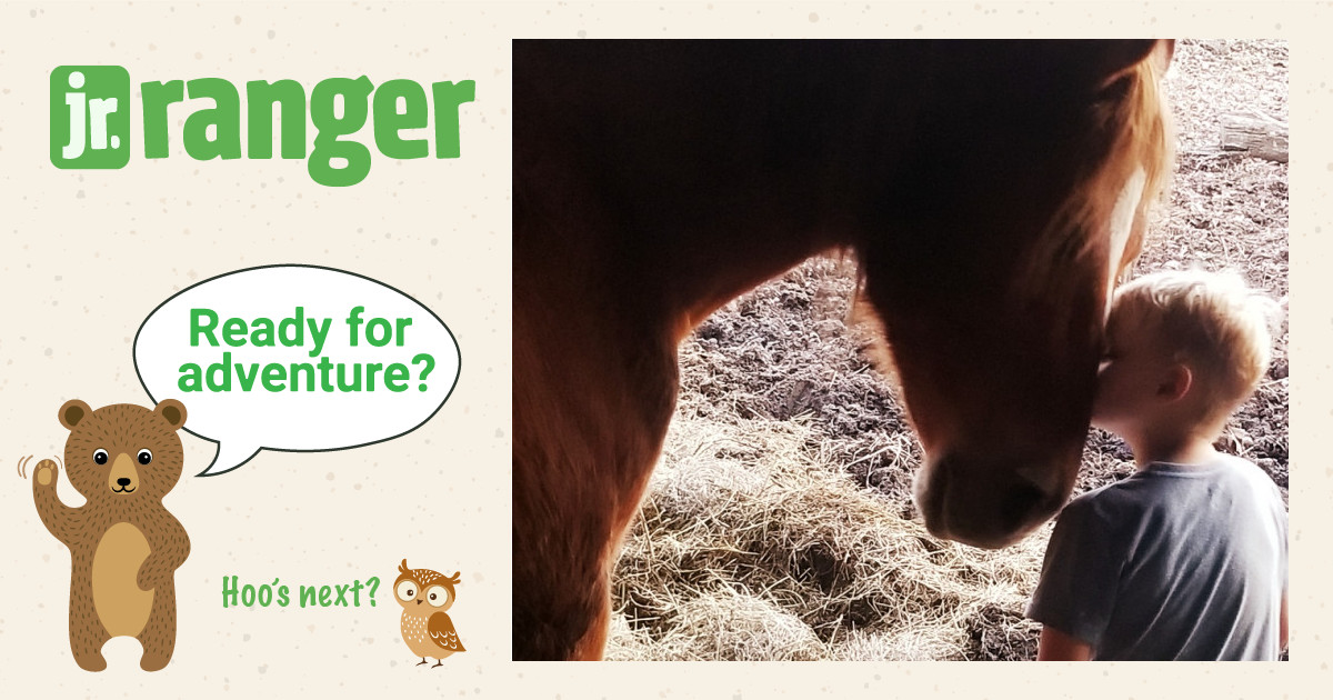 Taylor | Junior Ranger