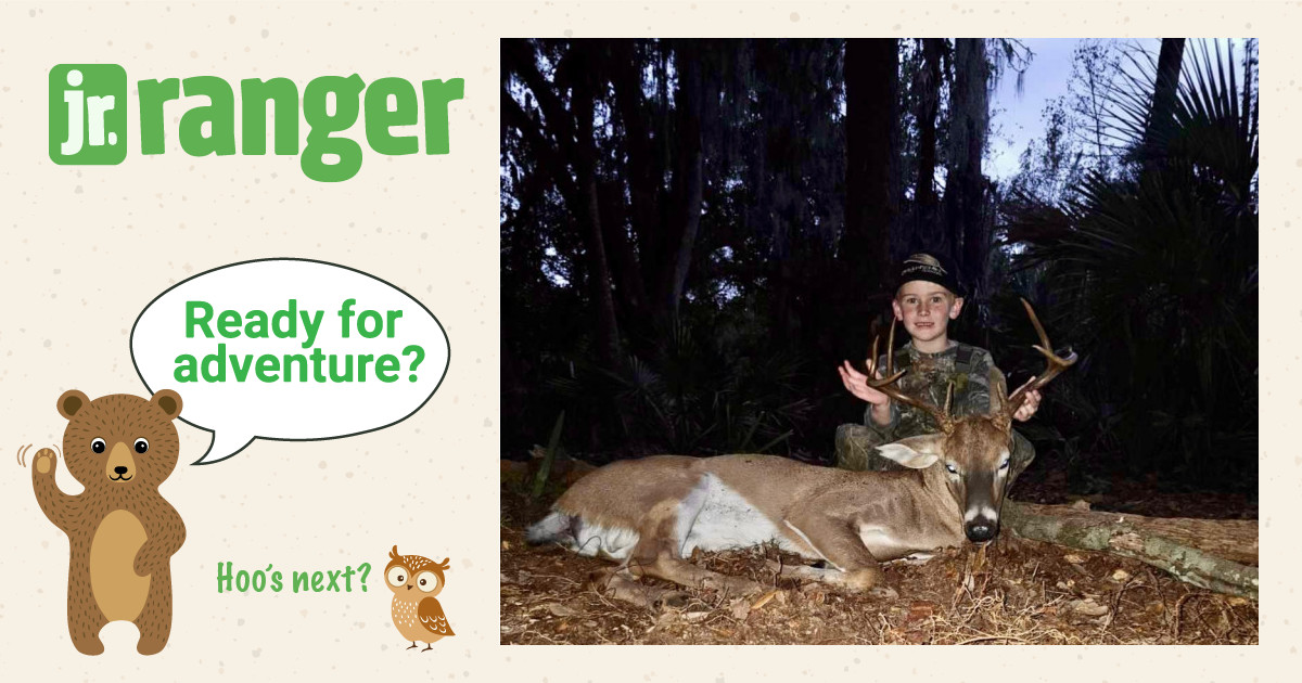 Dayton | Junior Ranger