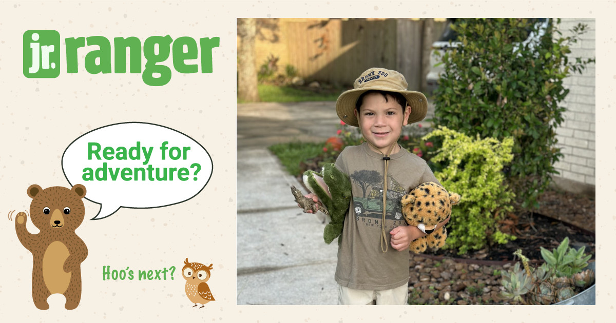 Ellis | Junior Ranger