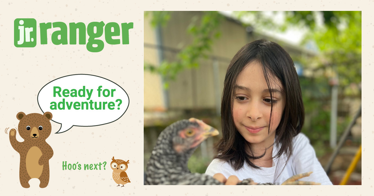 Vida | Junior Ranger