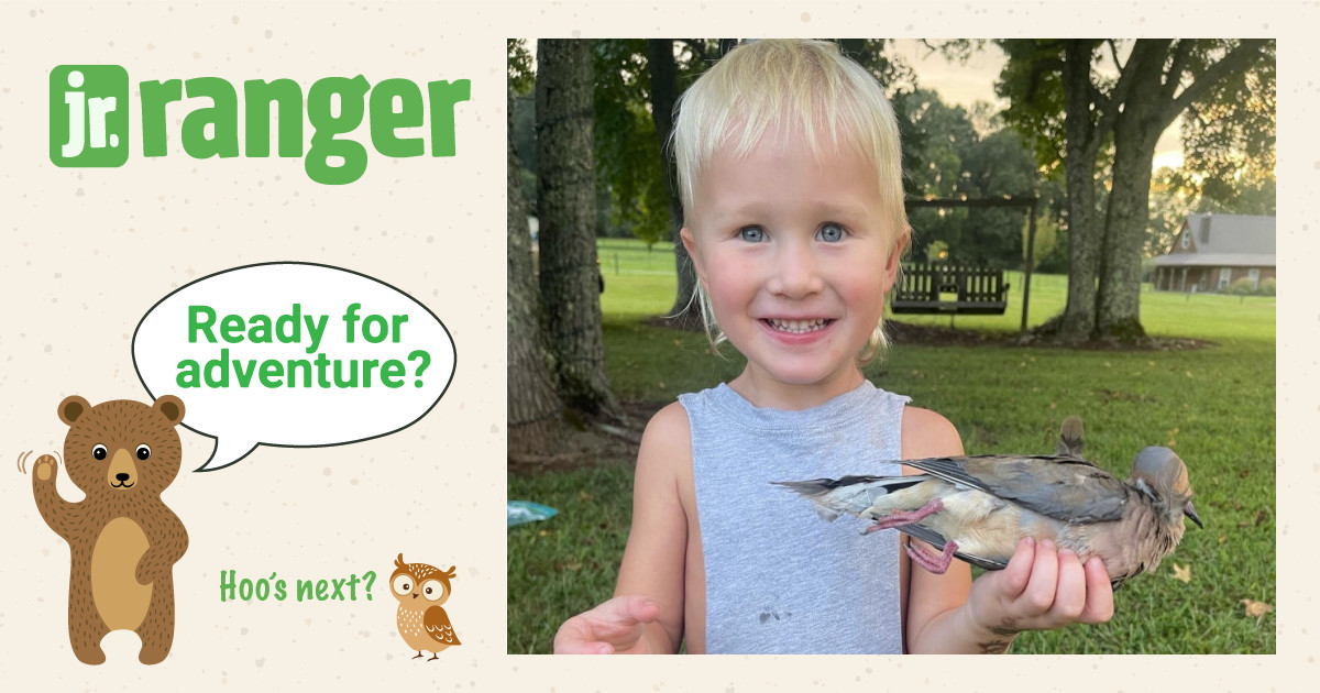 Forrest | Junior Ranger