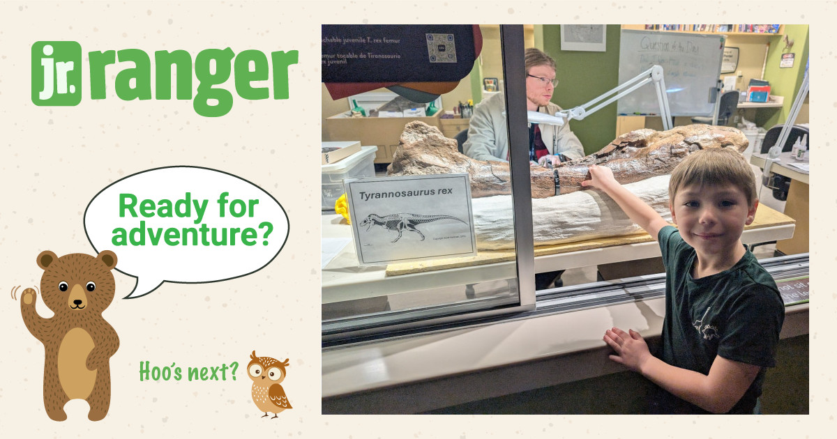 Abraxis | Junior Ranger