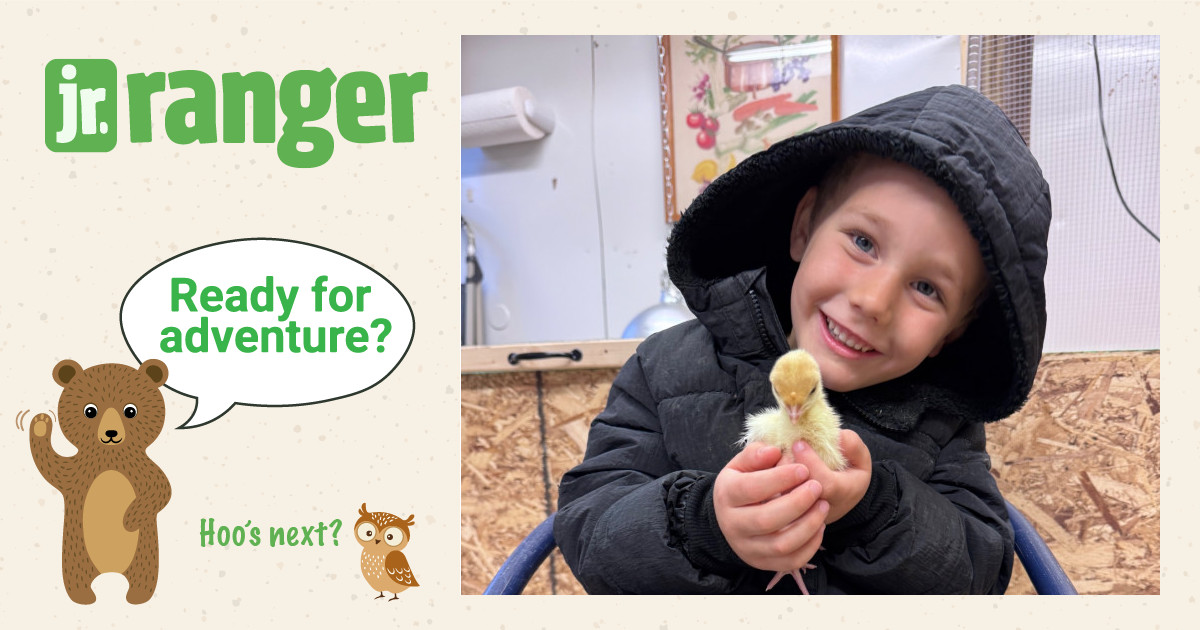 William | Junior Ranger