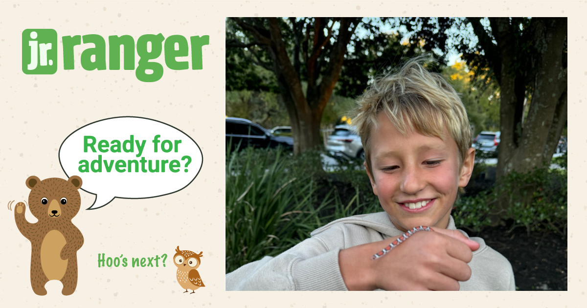 Jack | Junior Ranger