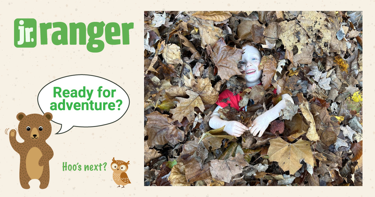 Damon | Junior Ranger